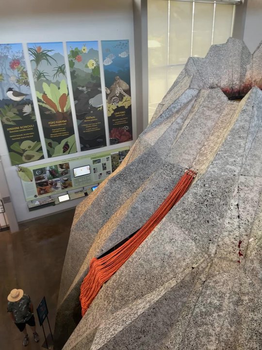 BISHOP MUSEUM - Updated July 2025 - 3687 Photos & 583 Reviews - 1525 ...