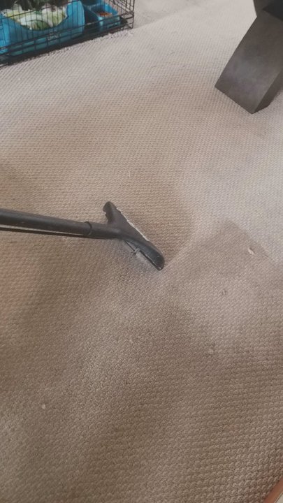 ECOCLEAN - Updated December 2025 - 47 Photos & 199 Reviews - 5233 ...