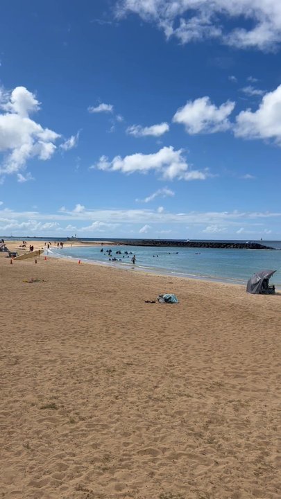 MAGIC ISLAND - Updated May 2026 - 2368 Photos & 172 Reviews - 1201 Ala ...