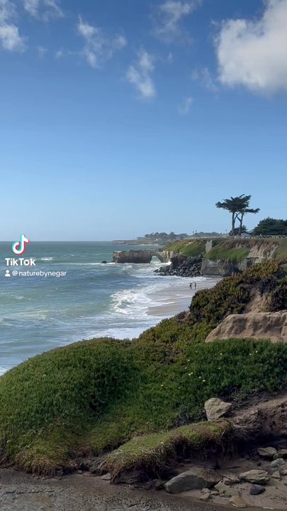 LIGHTHOUSE FIELD STATE BEACH - Updated January 2026 - 533 Photos & 127 ...