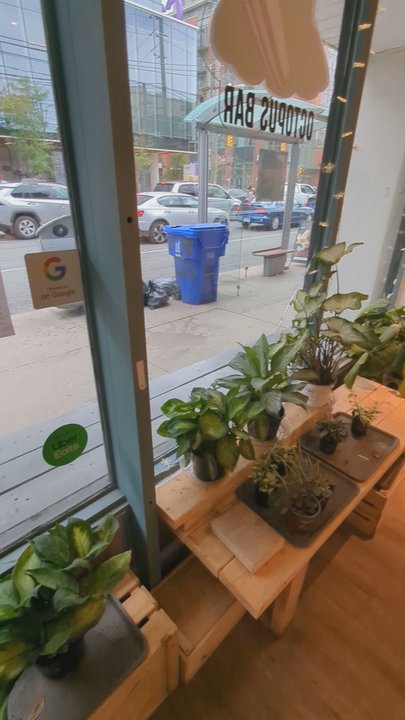 ICHA TEA - Updated January 2026 - 102 Photos & 23 Reviews - 996 Queen ...