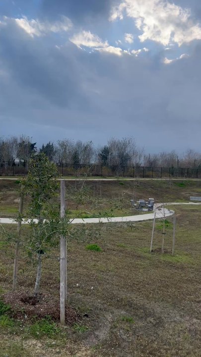 SUNNYSIDE HEALTH AND MULTI SERVICE CENTER - Updated December 2025 - 17 ...