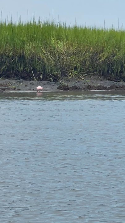 BULL RIVER MARINA - Updated January 2026 - 83 Photos & 66 Reviews ...