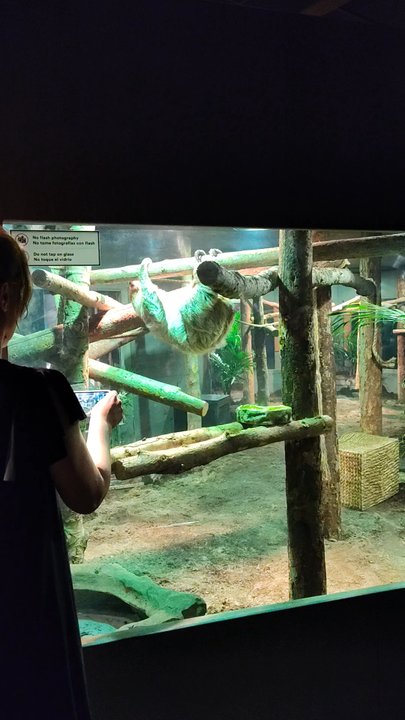 MUSEUM OF SCIENCE - Updated May 2025 - 1613 Photos & 825 Reviews - 1 ...