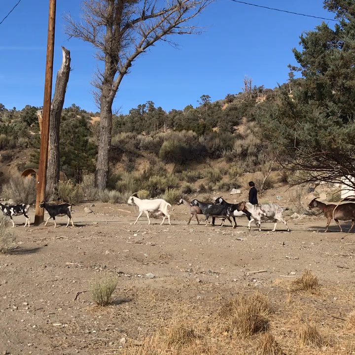 ANGELES CREST CREAMERY - Updated December 2025 - 54 Photos & 14 Reviews ...