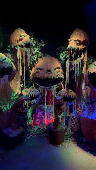 PARANOIA HAUNTED HOUSE - Updated October 2025 - 30 Photos & 29 Reviews ...