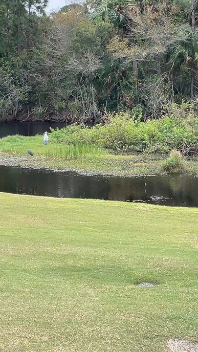 GATOR TRACE GOLF & COUNTRY CLUB - Updated June 2025 - 13 Photos & 16 ...