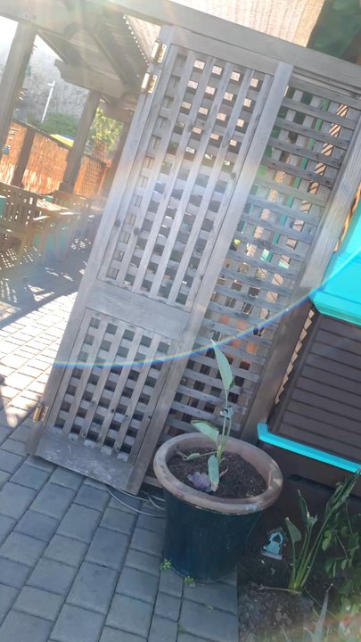 SHAKA SHACK - Updated May 2025 - 201 Photos & 71 Reviews - 2300 ...