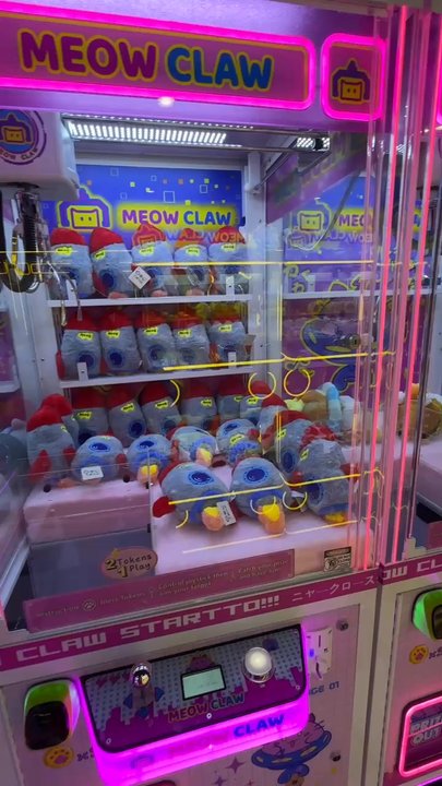 MEOW CLAW - Updated January 2026 - 55 Photos & 51 Reviews - 1701 ...