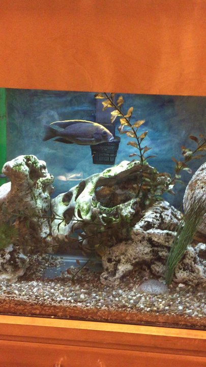 NEVINS MEMORIAL LIBRARY - Updated December 2025 - 22 Photos & 10 ...