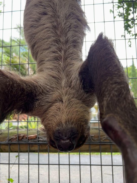 ZOOLOGICAL WILDLIFE FOUNDATION - Updated July 2025 - 922 Photos & 251 ...