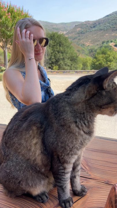 REPRIS WINES - Updated December 2025 - 193 Photos & 89 Reviews - 1700 ...