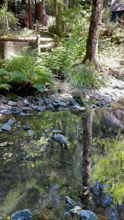 ALLIANCE REDWOODS CONFERENCE GROUNDS - Updated May 2026 - 100 Photos ...