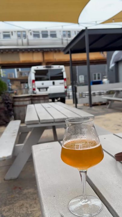 PILOT PROJECT BREWING - LOGAN SQUARE - Updated December 2025 - 359 ...