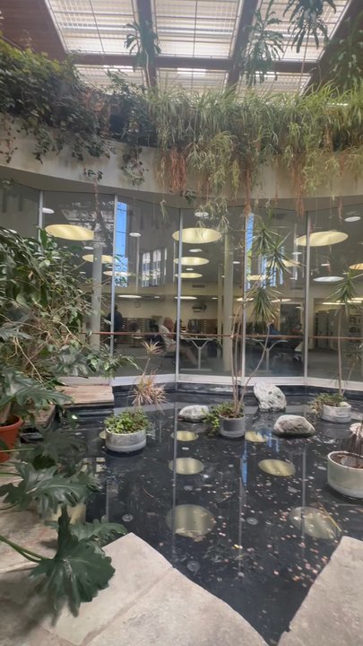 DOWNTOWN RENO LIBRARY - Updated October 2025 - 86 Photos & 39 Reviews ...