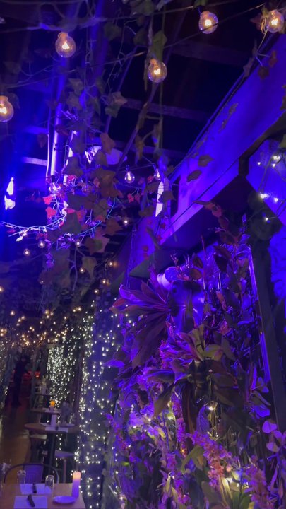 LULO KITCHEN - Updated July 2025 - 205 Photos & 125 Reviews - 1273 W ...