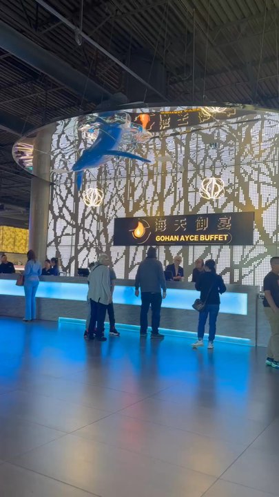 GOHAN BUFFET - Updated April 2025 - 227 Photos & 46 Reviews - 2205 ...