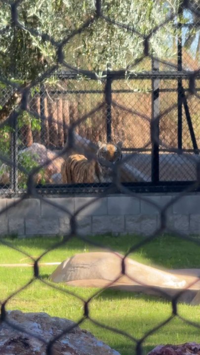 WILDLIFE WORLD ZOO, AQUARIUM & SAFARI PARK - Updated May 2026 - 2135 ...