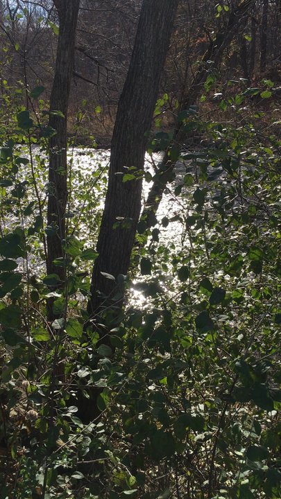 OAK LEAF TRAIL - Updated May 2026 - 128 Photos & 39 Reviews - Milwaukee ...