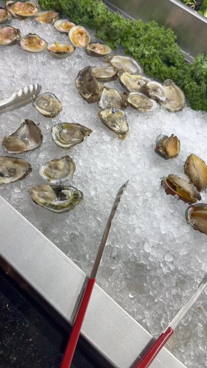 A-POT - Updated October 2025 - 61 Photos & 24 Reviews - 884 Delsea Dr ...