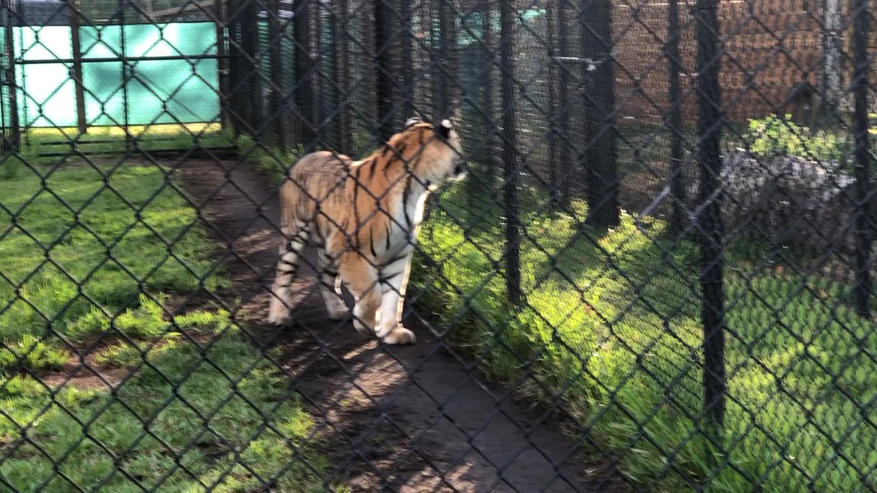 CATTY SHACK RANCH WILDLIFE SANCTUARY - Updated July 2025 - 690 Photos ...