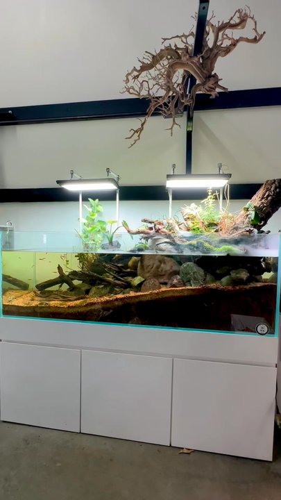 CK FISH WORLD - Updated May 2025 - 438 Photos & 463 Reviews - 541 North ...