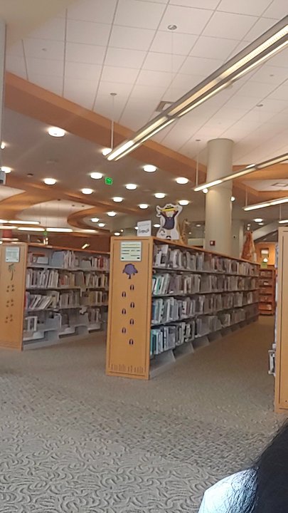 ROCKVILLE MEMORIAL LIBRARY - Updated April 2026 - 37 Photos & 79 ...