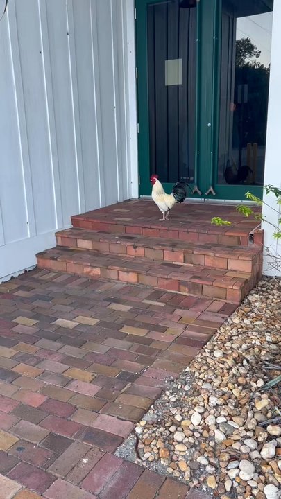 GREEN TURTLE INN - Updated November 2025 - 633 Photos & 637 Reviews ...