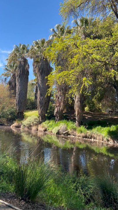 UC DAVIS ARBORETUM AND PUBLIC GARDEN - Updated January 2026 - 1303 ...