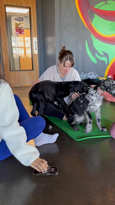 CRATE ESCAPES DOG PARK + BAR - Updated May 2026 - 129 Photos & 20 ...