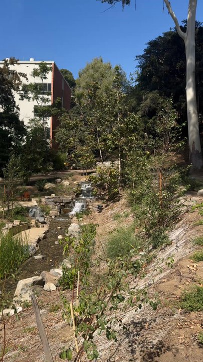 UCLA MATHIAS BOTANICAL GARDEN - Updated January 2026 - 476 Photos & 117 ...