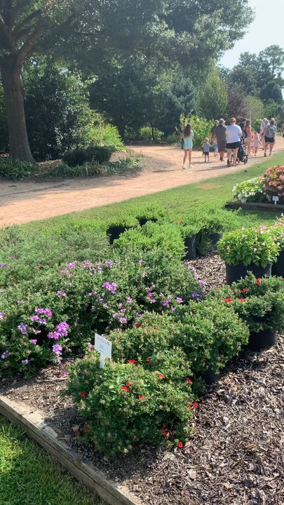 JC RAULSTON ARBORETUM - Updated October 2025 - 639 Photos & 112 Reviews ...