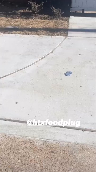 HTX FOOD PLUG - Updated December 2025 - 27 Photos & 13 Reviews - 723 ...