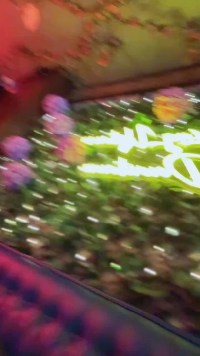 COUNTER & BODEGA - Updated July 2025 - 448 Photos & 335 Reviews - 216 ...