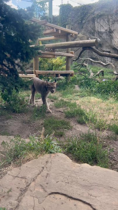 ERIE ZOO - Updated June 2026 - 186 Photos & 69 Reviews - 423 W 38th St ...