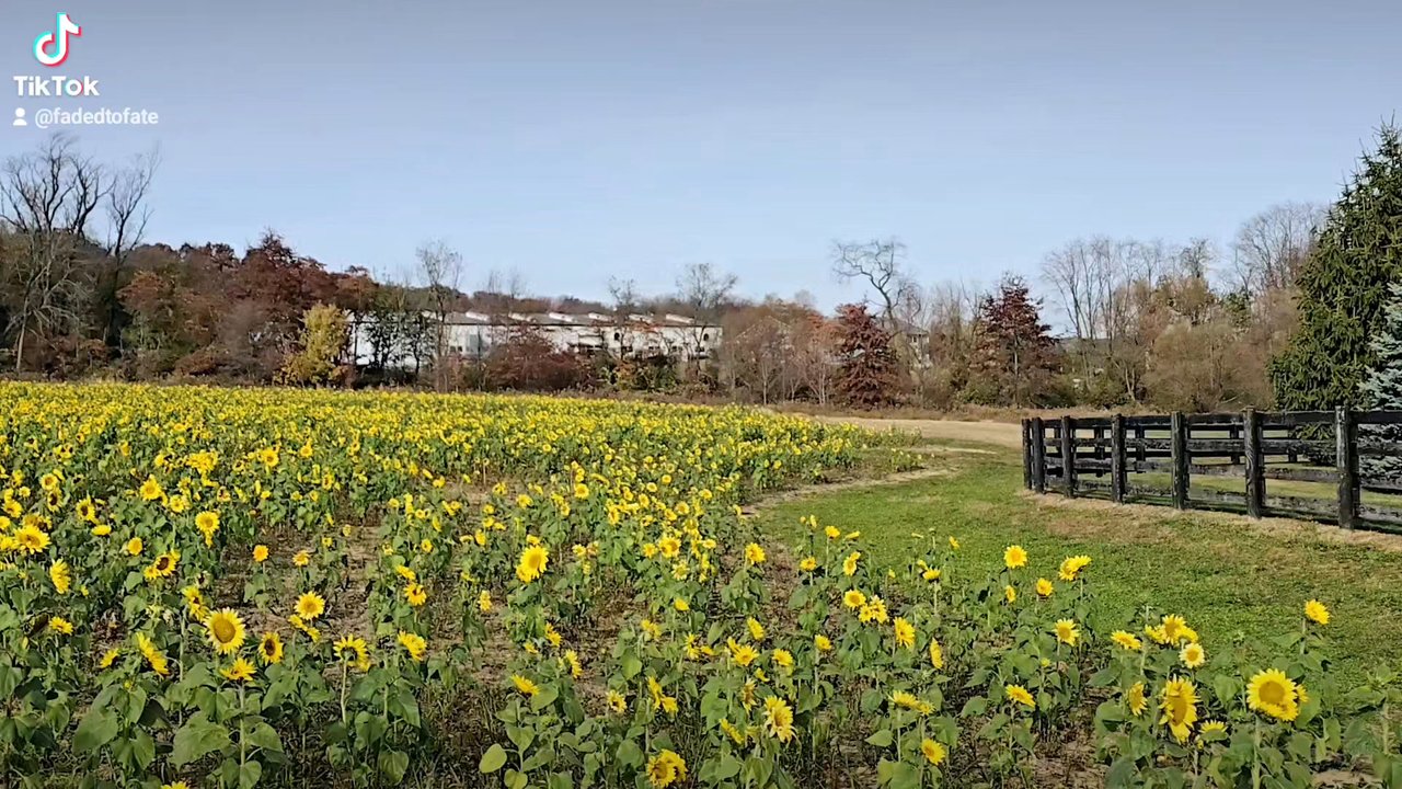 SEPTEMBER FARM CHEESE - Updated December 2025 - 219 Photos & 183 ...