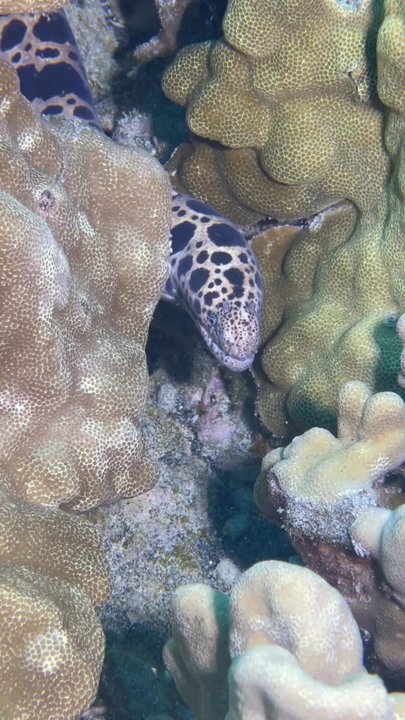 JACK’S DIVING LOCKER - Updated May 2026 - 273 Photos & 576 Reviews - 75 ...