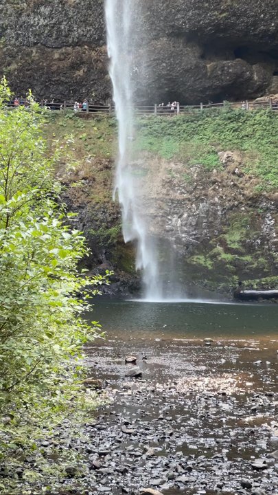 SILVER FALLS STATE PARK - Updated October 2025 - 1651 Photos & 352 ...