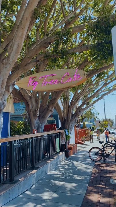 LUCKY TREE - Updated February 2025 - 181 Photos & 144 Reviews - 3801 ...