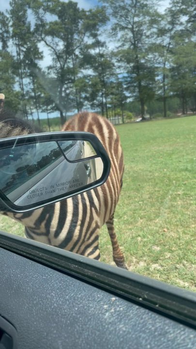 EUDORA WILDLIFE SAFARI PARK - Updated June 2026 - 263 Photos & 60 ...