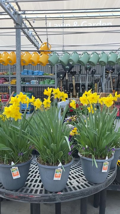 WALMART SUPERCENTER - Updated December 2025 - 219 Photos & 161 Reviews ...