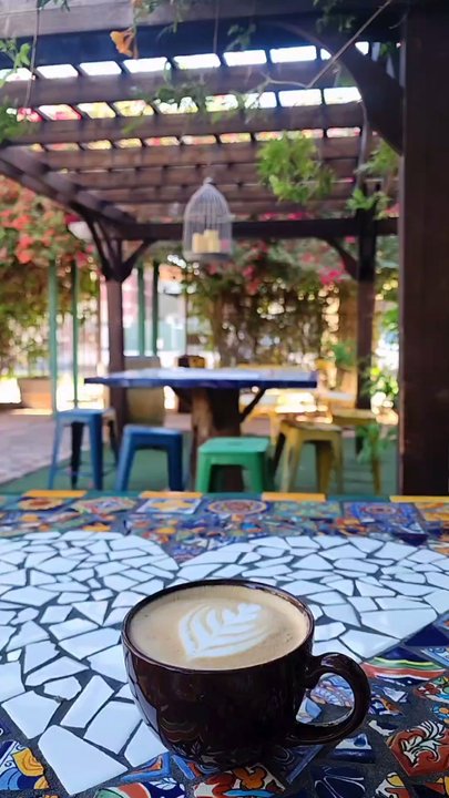 CAFECITO - Updated June 2025 - 489 Photos & 217 Reviews - 176 S Main St ...