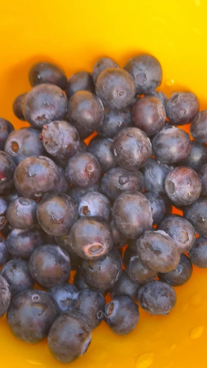 PEDRICK PRODUCE - Updated July 2025 - 1242 Photos & 606 Reviews - 6850 ...