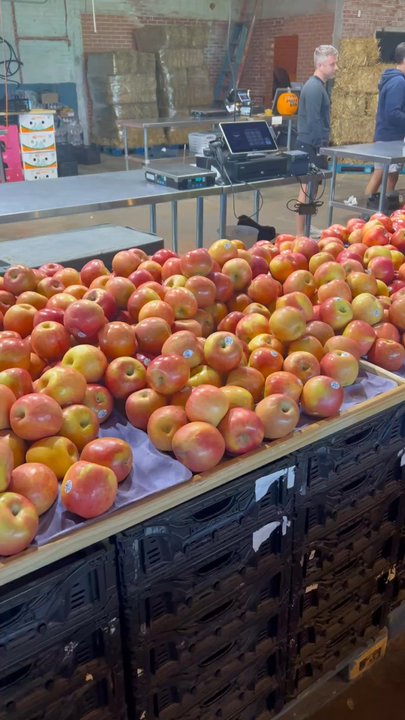 CEDAR MARKET RANCH - Updated December 2025 - 44 Photos & 20 Reviews ...