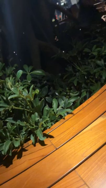 SUGAR - Updated July 2025 - 1277 Photos & 844 Reviews - 788 Brickell ...