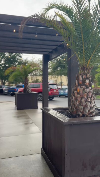 NOBLE ROOTS - Updated December 2025 - 197 Photos & 104 Reviews - 100 ...