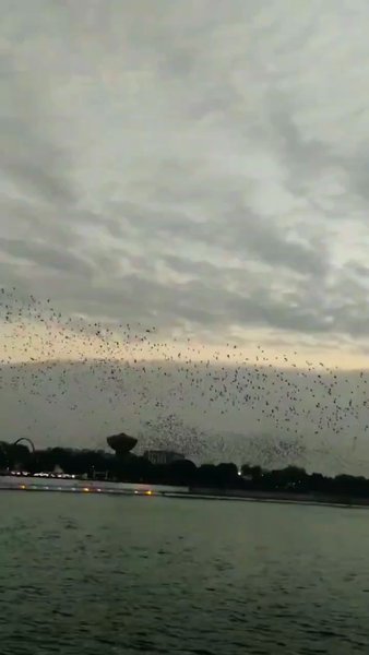 Kankaria Lake: A Guide to Ahmedabad’s Iconic Waterfront
