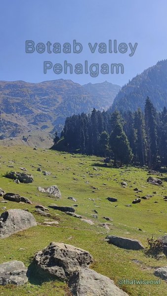 Betaab Valley: A Paradise in Pahalgam