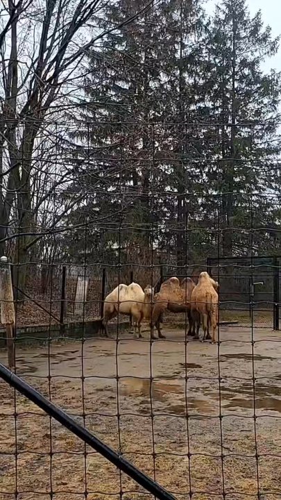 TORONTO ZOO - Updated June 2026 - 1368 Photos & 298 Reviews - 2000 ...