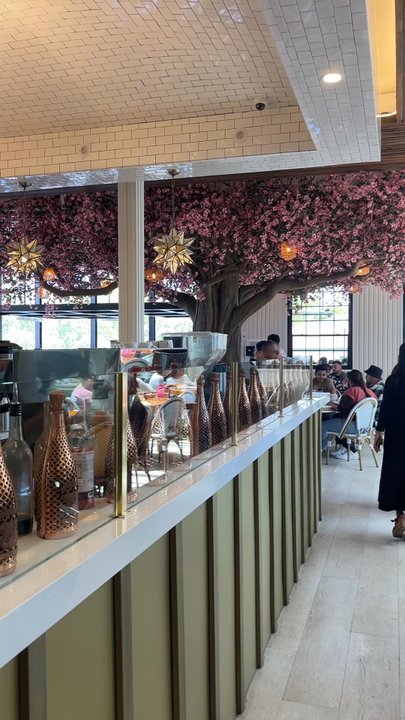 COCINA 35 - Updated December 2025 - 1440 Photos & 692 Reviews - 2750 ...